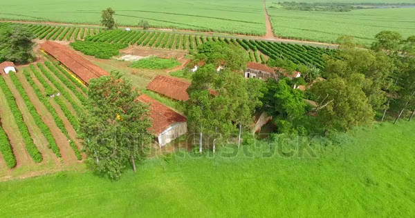 New Farm Setup - Prestige Fortune