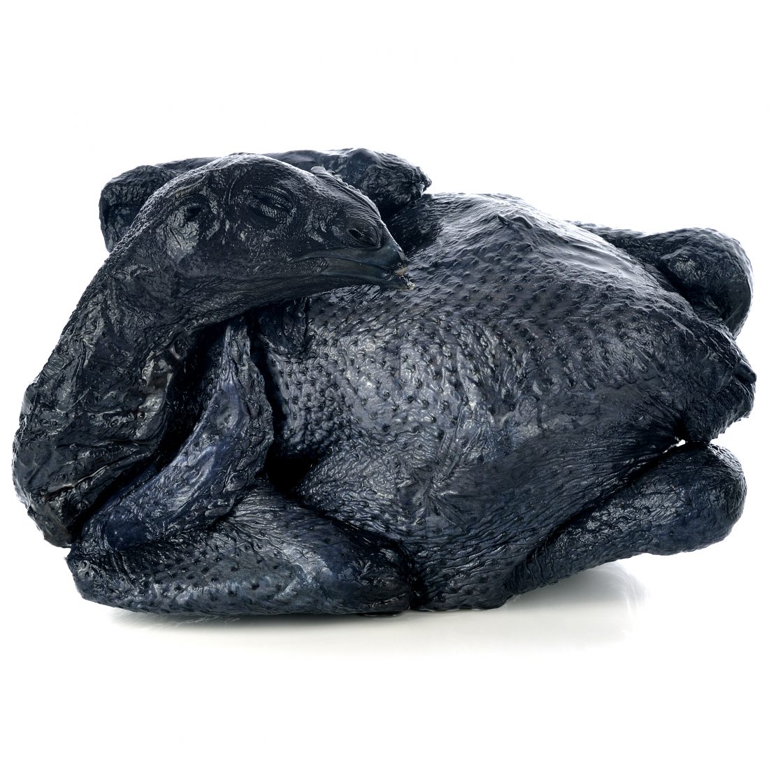 Black Meat Silkies - Prestige Fortune